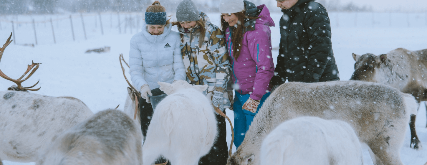 Vinterferie med familie | Norway | Visit Tromsø | Visit Tromsø