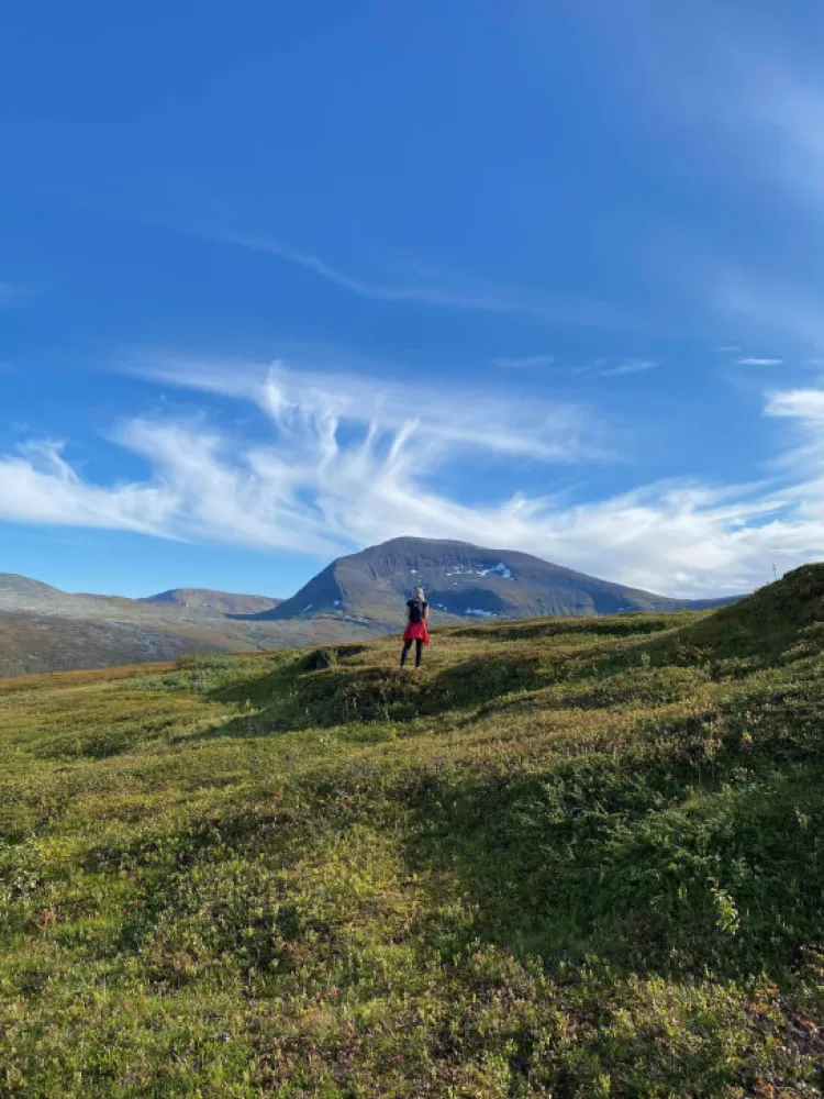 6 reasons to visit Tromsø in autumn | Visit Tromso | Norway