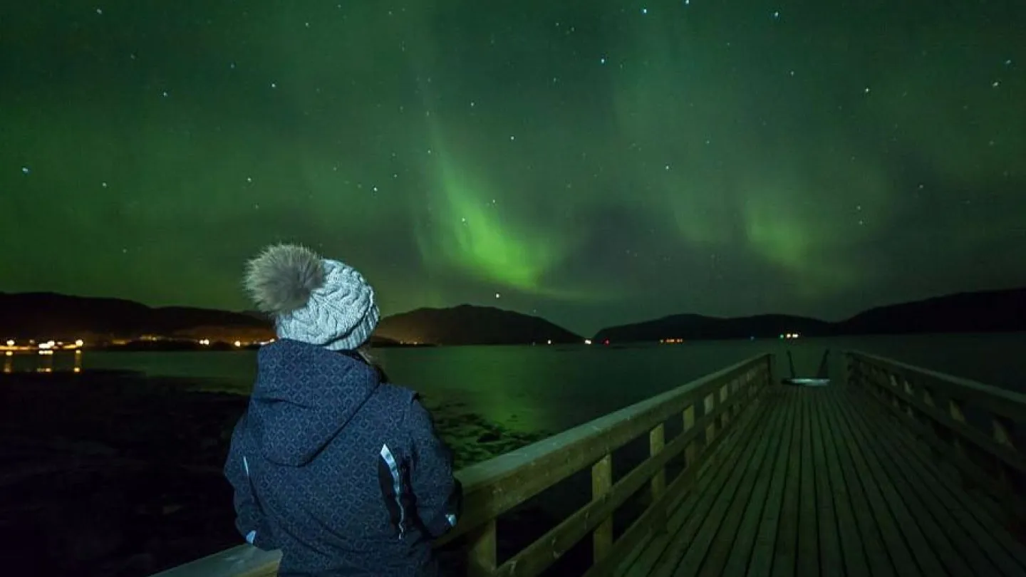 Northern Lights Chase with authentic North Norwegian charm | Visit ...