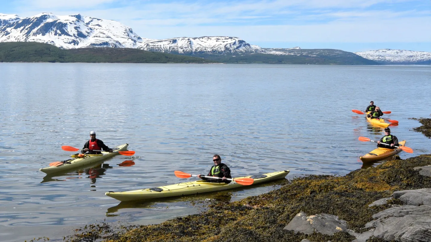 Guided Kayak tour | Visit Tromso | Norway