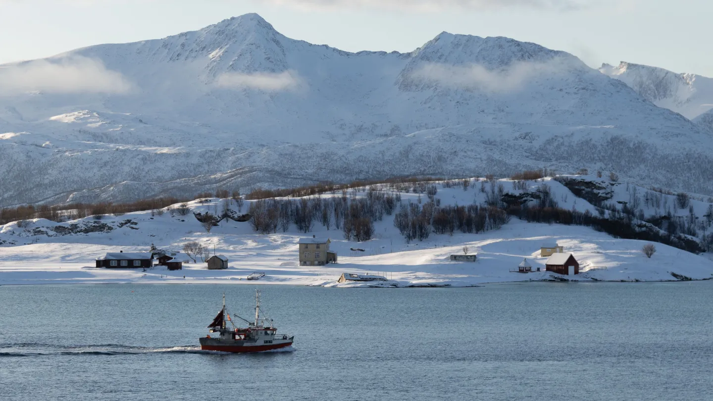 Sommarøy Arctic Day Trip - A Tour of Kvaløya Island | Visit Tromso | Norway